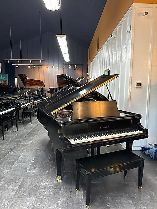 Baldwin L 1968 - Satin Ebony Polish | Reverb