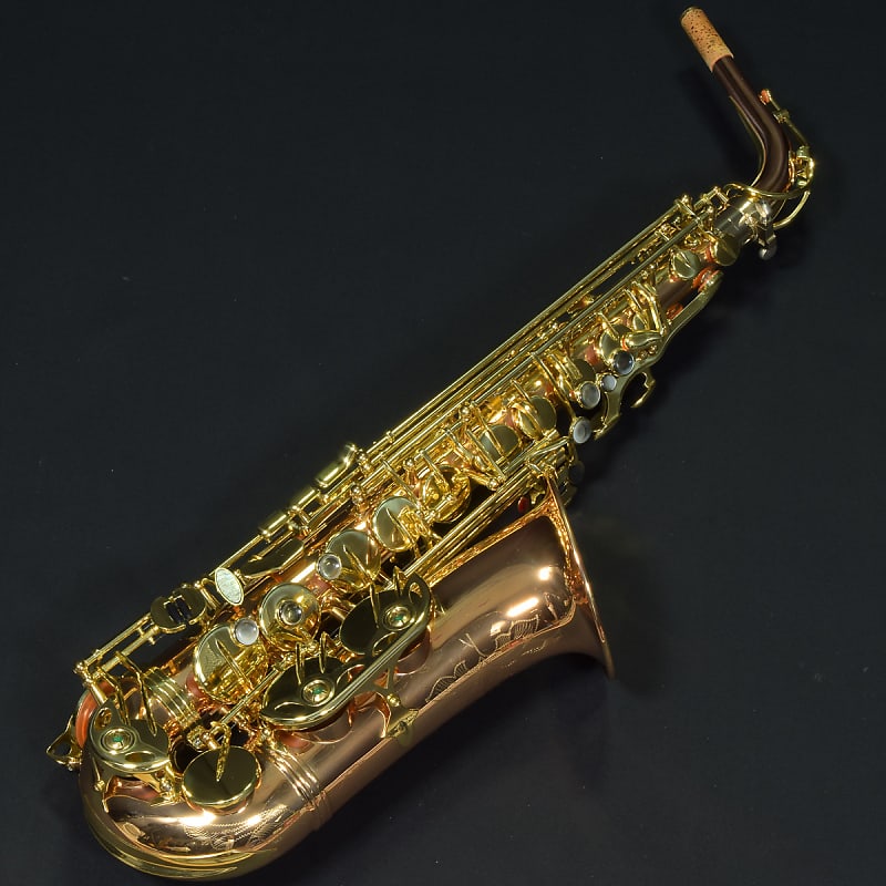 WINDPAL Alto Saxophone WA610 Bronze (S/N:023020) [01/26] | Reverb