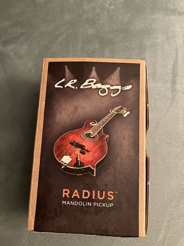 LR Baggs Radius Pickup | Reverb