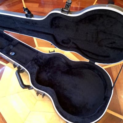 SKB USA MADE TSA 002 SKB-35 Thin-Body Semi-Hollow GUITAR HARD | Reverb