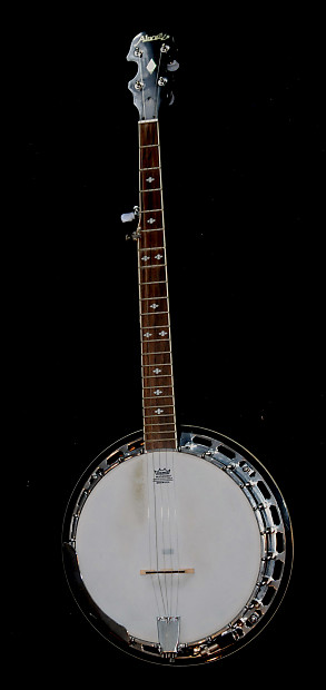 Alvarez 5 String Banjo 1990s | Reverb