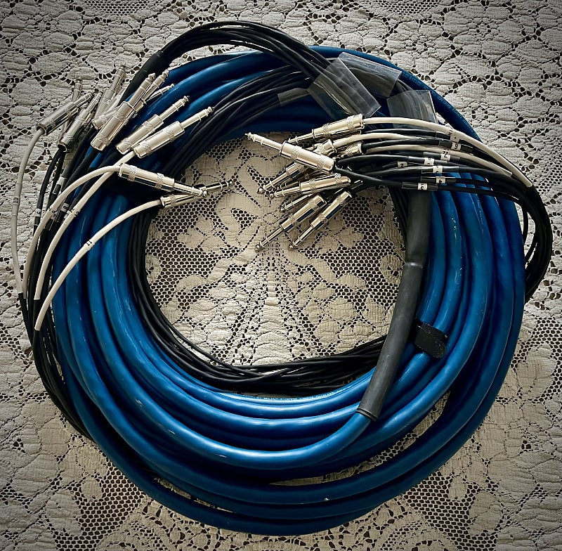 ProCo 12 channel 20 ft TRS snake 2020 | Reverb