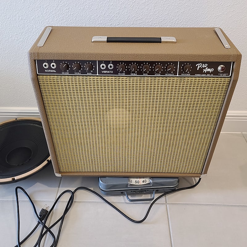 Marsh 6G5A 2024 Brown Pro Amp NEW! | Reverb