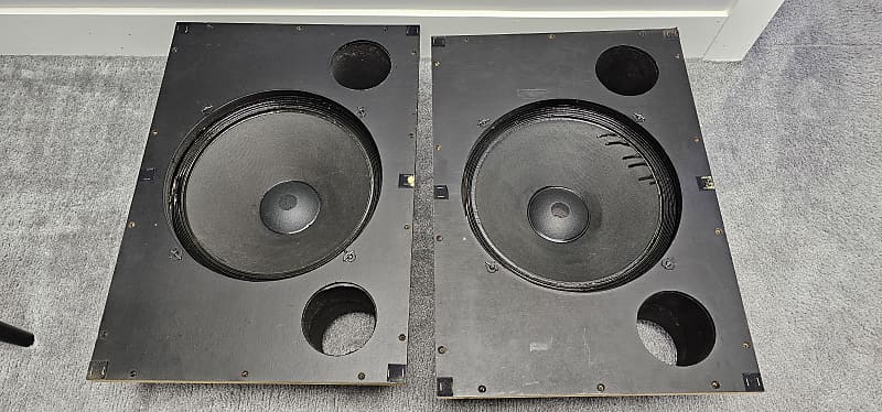 Altec Lansing 416-8z alnico woofers pair 1960s - Silver | Reverb