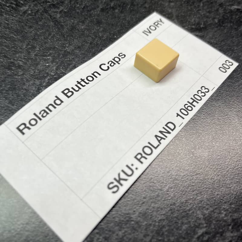 ORIGINAL Roland Ivory Button Cap (016H033) for EP/HP series | Reverb