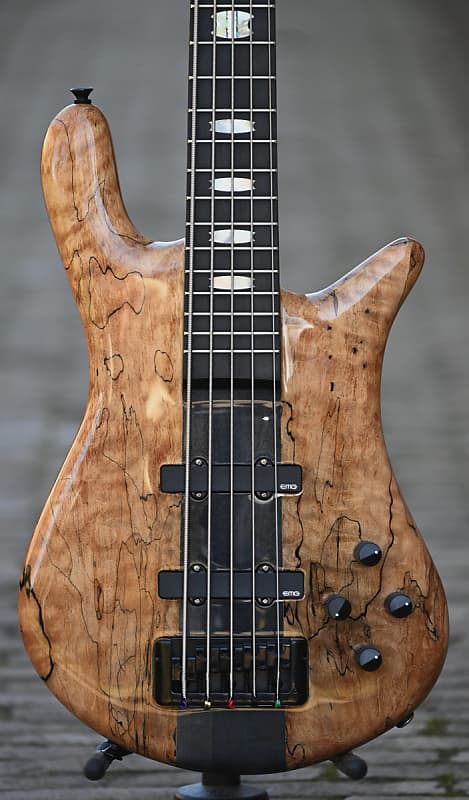 Spector Euro 5 CST - Spalted Maple | Reverb