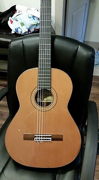 Manuel Raimundo 148 Concert / Classical | Reverb