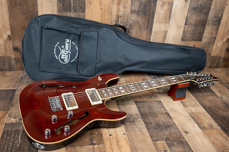 Schecter C/SH-12 Semi Hollow Body 12 String Electric Guitar | Reverb