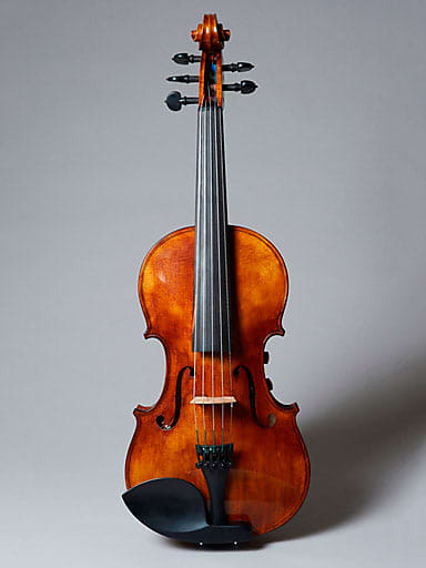 REALIST electric 5-string Pro E-Series violin feat. Instant | Reverb