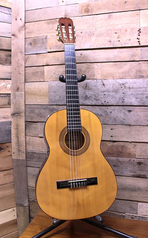 Hohner Model HC03 Classical Acoustic Guitar- Local Pickup | Reverb