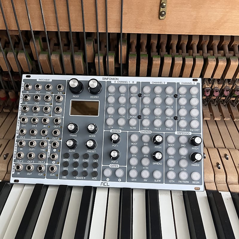 ACL Sinfonion 2021 - Grey | Reverb