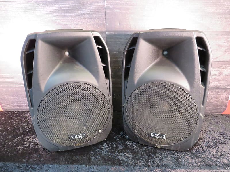 Edison Pro 1505-2500 MKVC Powered Speaker (Raleigh, NC) | Reverb