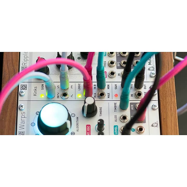 Mutable Instruments Kinks Eurorack Audio & CV Processor | Reverb