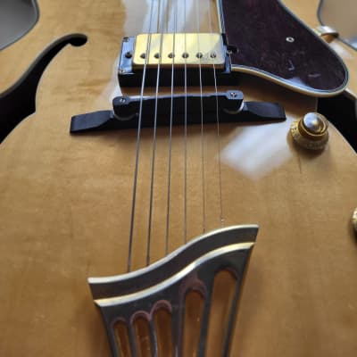 Samick Artist Series Edition HJ-650 Hollow Body Electric | Reverb