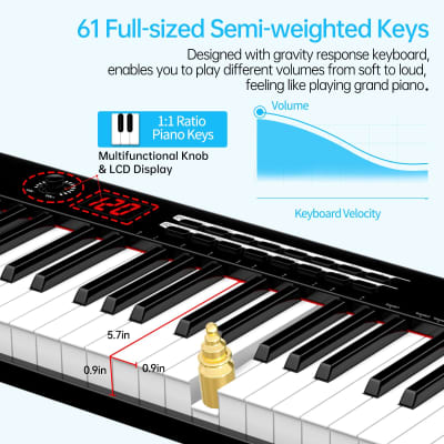 TERENCE Piano Keyboard 61 Keys with Stand Digital | Reverb Deutschland