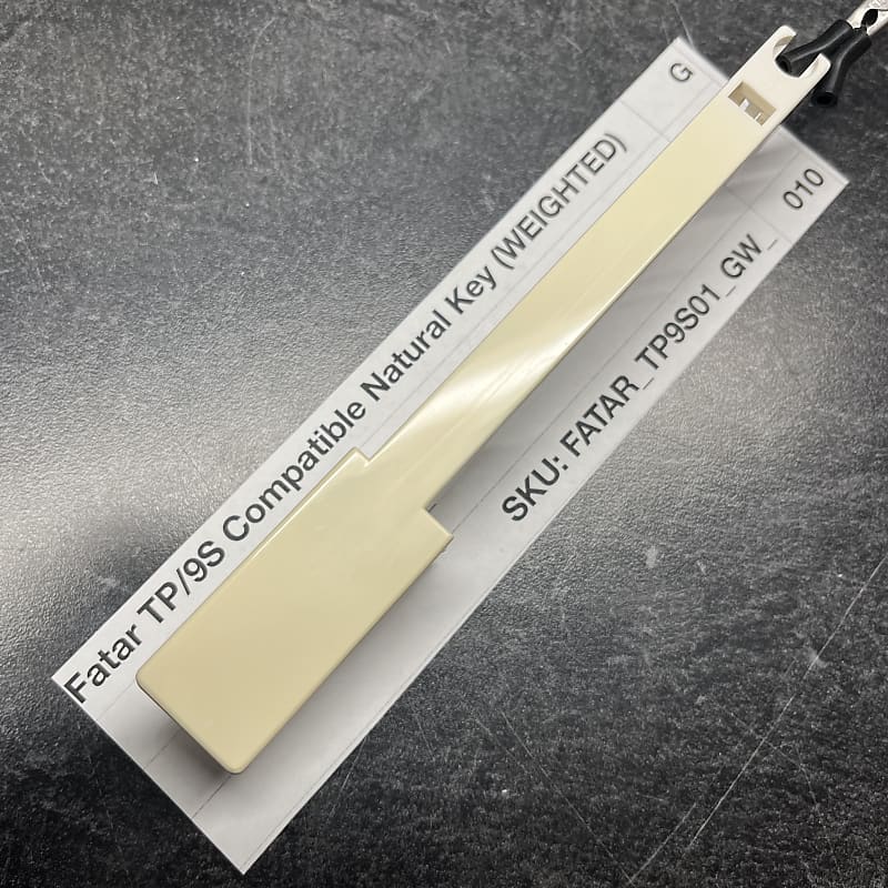Fatar Replacement Weighted G Key (TP/9S Keybeds) for | Reverb UK