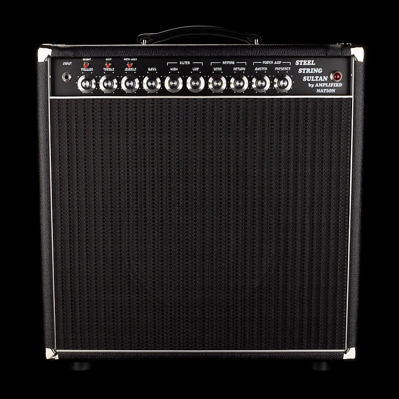 Amplified Nation Steel String Sultan 22W 1x12 Combo Amp Black | Reverb