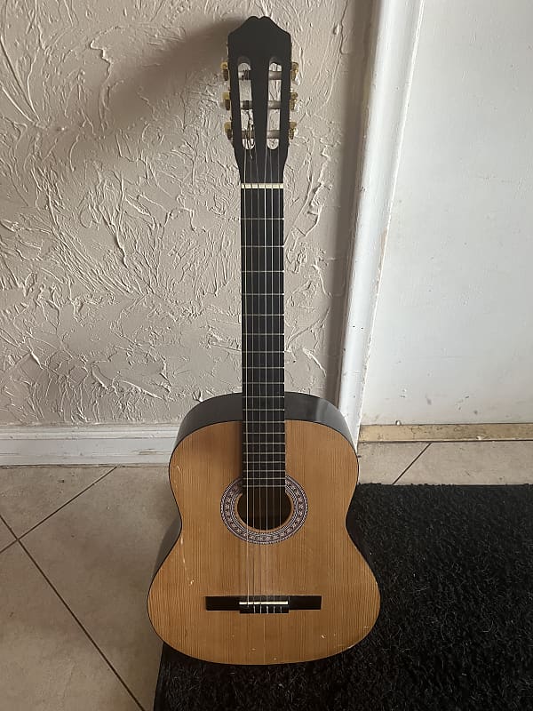 Burswood Acoustic guitar | Reverb