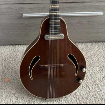 Hofner Model 545 Cats Eye Mandolin Carved Headstock Pro Setup | Reverb