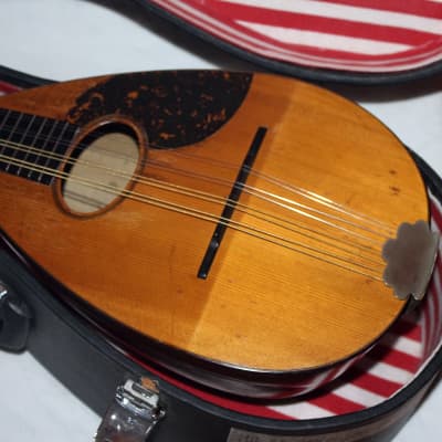 Martin A Style Mandolin BOWL BACK 1910 Natural | Reverb