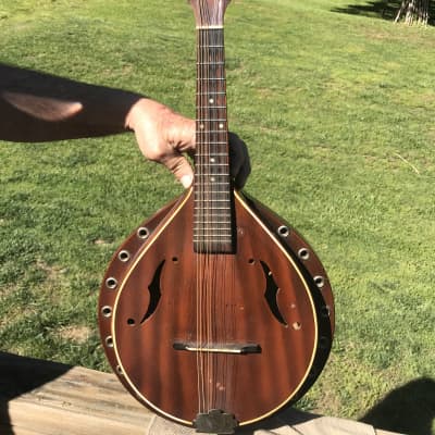 Blue Comet Mandolin 1935 Natural | Reverb