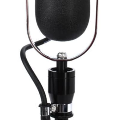 AEA R84 Ribbon Microphone | Reverb