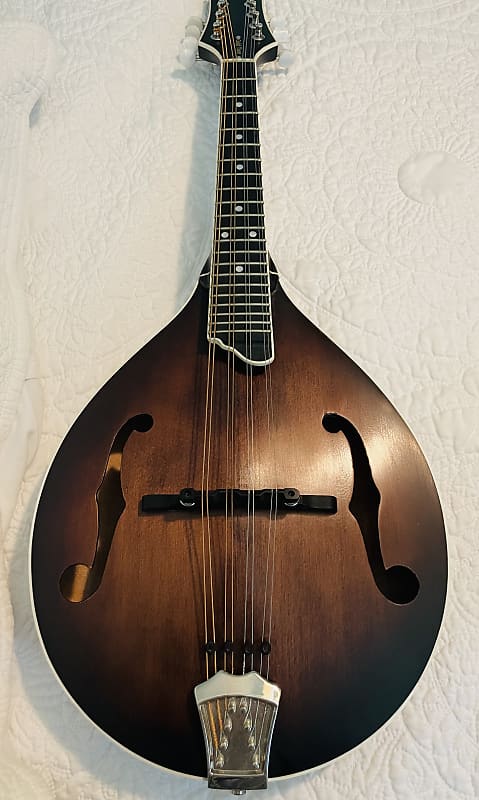 Gold Tone GM 55A, Hand rubbed Oil Finish W/Gig bag | Reverb