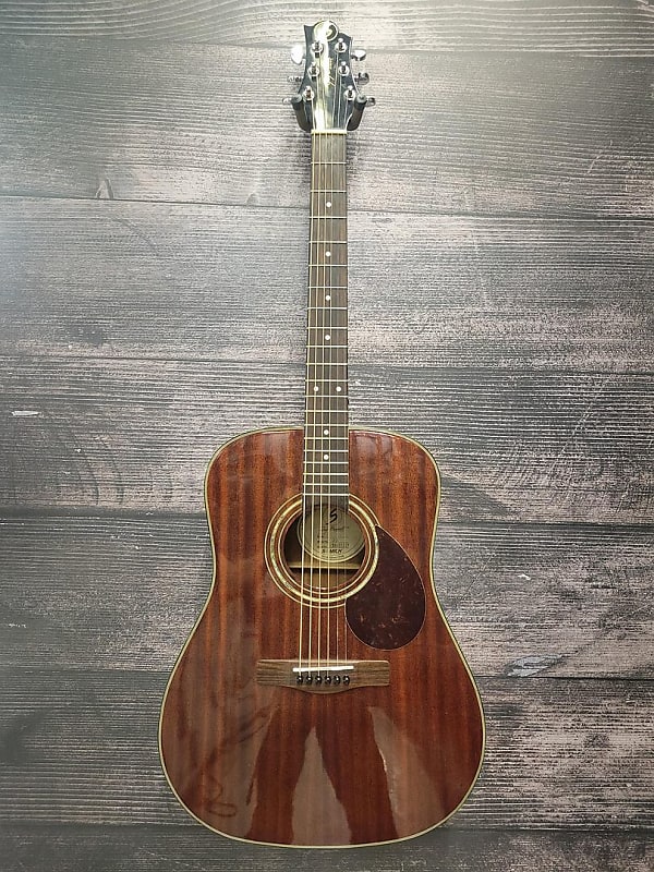 Greg Bennett D-3 Acoustic Guitar (San Antonio, TX) | Reverb