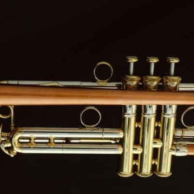 Pre-owned B.A.C. Paseo Model Trumpet in Brushed lacquer | Reverb UK