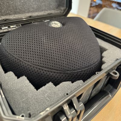 DPA DPA 5100 Mobile Surround Microphone | Reverb