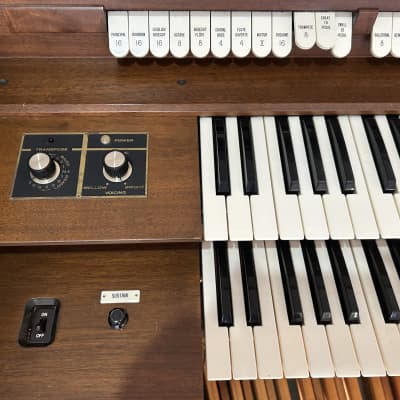 Allen Digital Organ, 32-Note AGO Concave Pedalboard & Bench - | Reverb