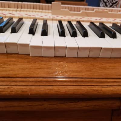88 Mint unused Fender Rhodes keys for the 88 or 73 key | Reverb
