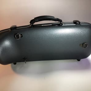 Eastman Fiberglass Trumpet Case | Reverb