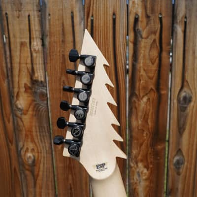 ESP Custom Shop Anchang Star/Kami-IV Graphic/ 6-String Guitar | Reverb