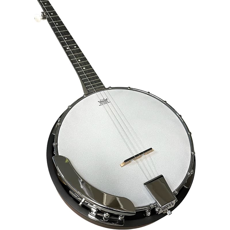Alabama ALB28 5-String Banjo | Reverb