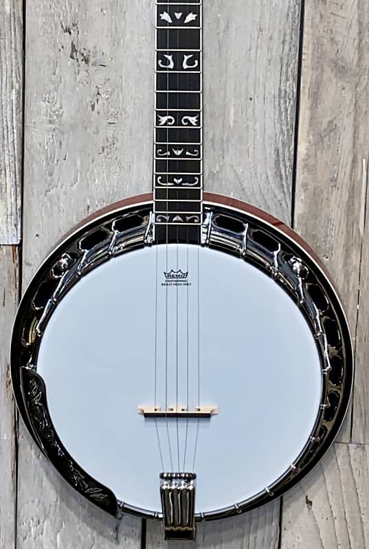Washburn B16K Americana Series 5-String Banjo With Hard Case, | Reverb