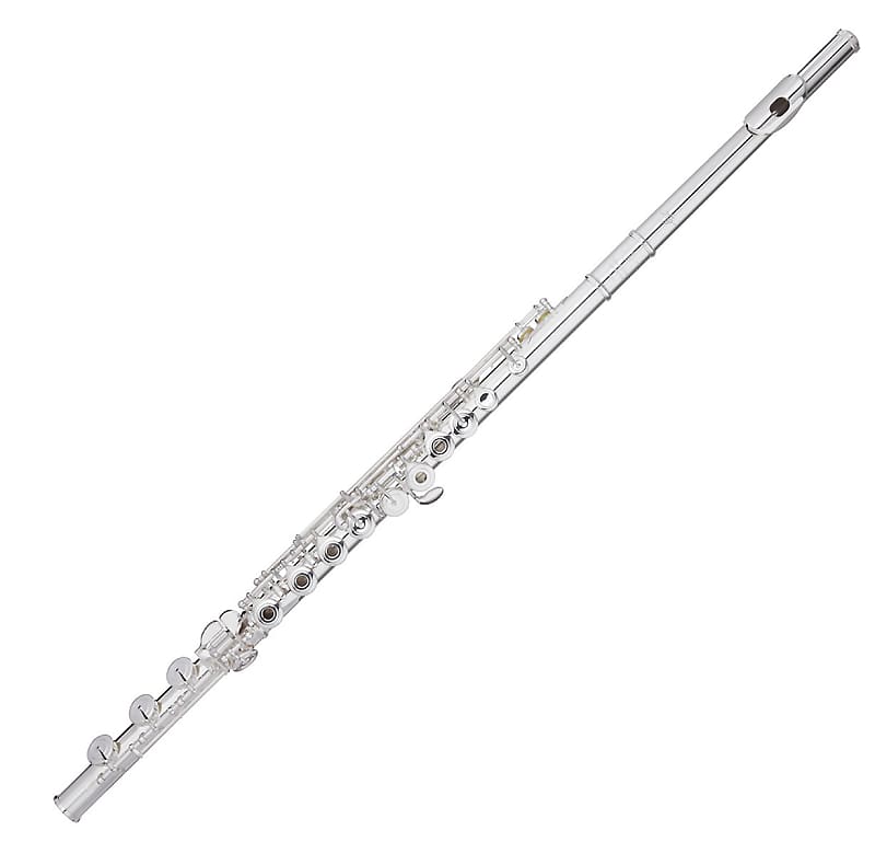 Trevor James TJ-31CF-HROE Cantabile Flute | Reverb