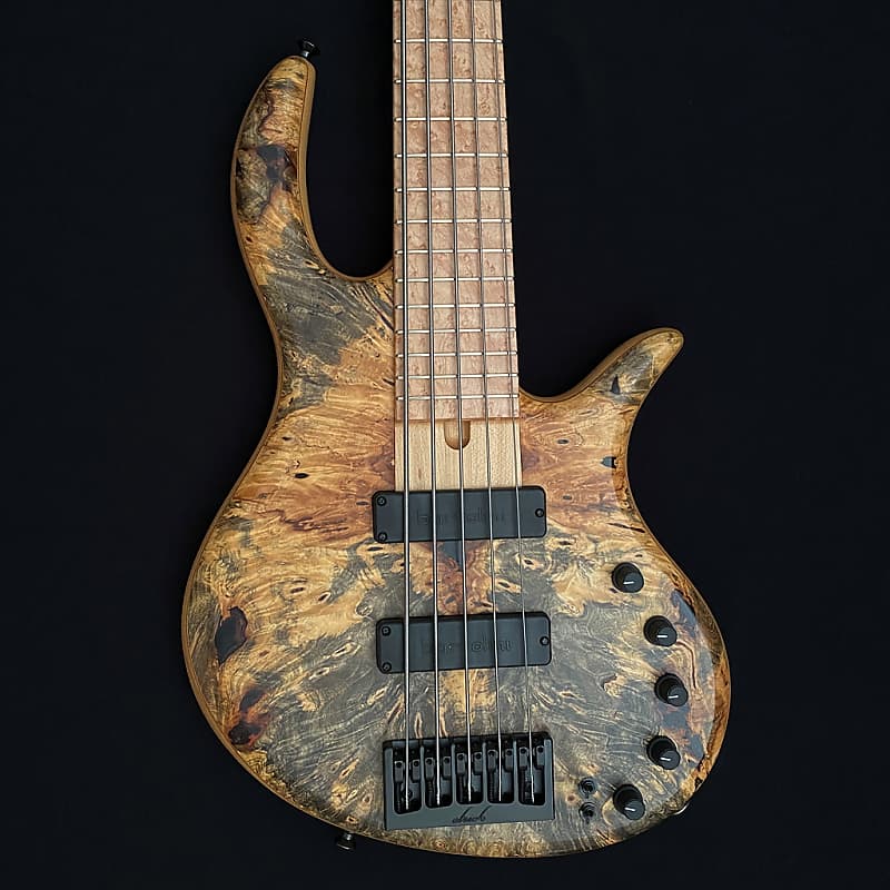 Elrick Gold Series e-Volution 5-String Bass - Swamp | Reverb Canada