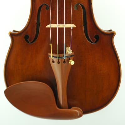 Amber Strings Carlo Moretti 2023 - Varnish | Reverb