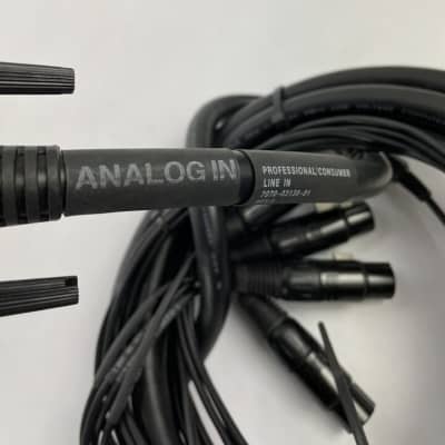 AVID PROFESSIONAL LINE-IN SNAKE ANALOG AUDIO 12' CABLE | Reverb
