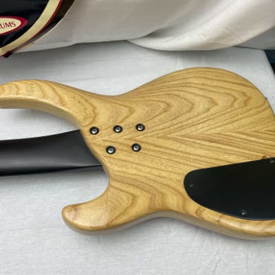 Ambush Basses Scott Ambush Custom Bolt-on 5-string Bass - | Reverb