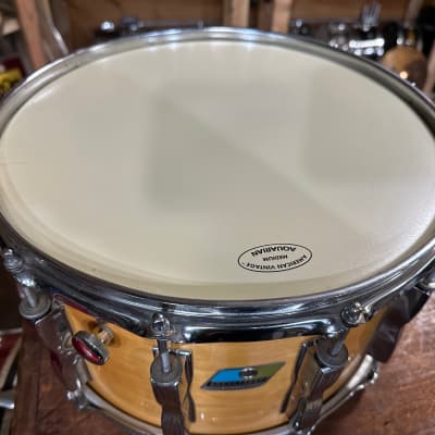 Ludwig Coliseum 1981 Thermogloss 8"x14" Snare Drum | Reverb