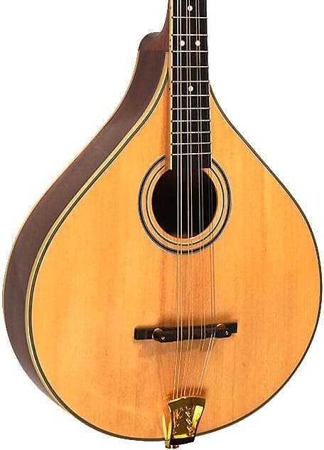Gold Tone OM-800+ Octave Mandolin - Natural/High Gloss | Reverb