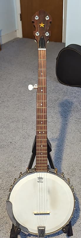 Stewart-MacDonald Eagle Open Back kit 1970s | Reverb