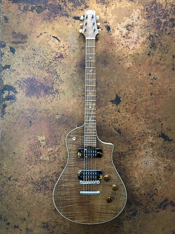 Asher Electro Sonic Custom 2007 Nitro / Lacquer | Reverb