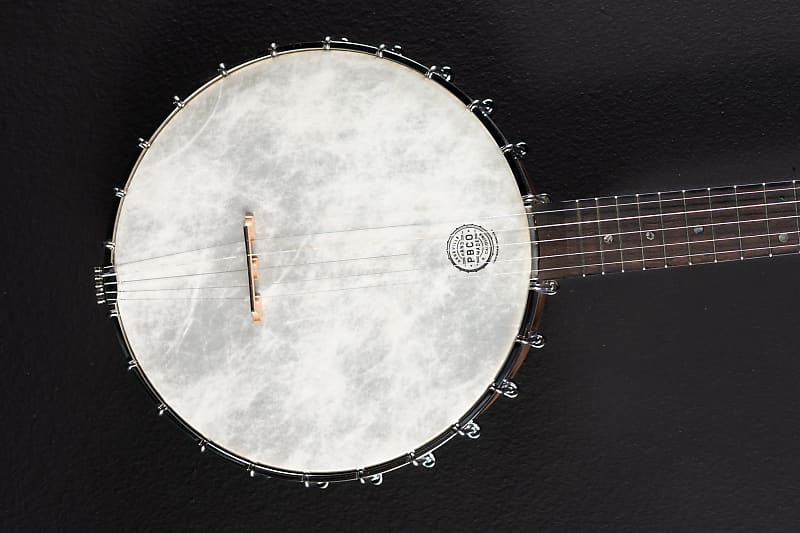 Brian Parr 5 String Banjo, Recent | Reverb