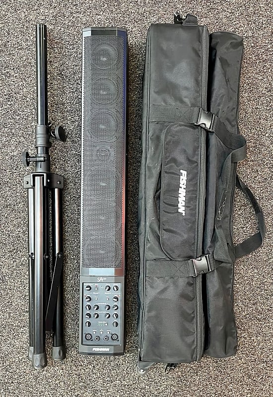 Fishman SA220 Guitar Combo Amplifier (Springfield, NJ) | Reverb