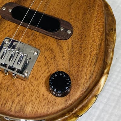 Turtle shell fretless slide guitar - 3 string | Reverb