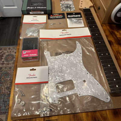 Tom Delonge style Stratocaster custom build | Reverb