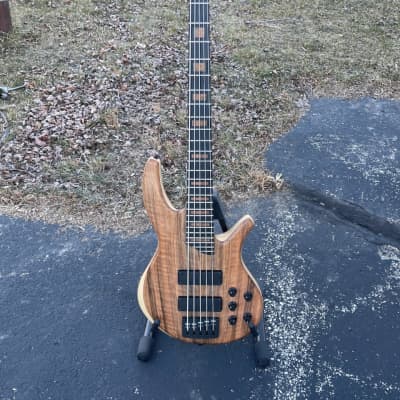 Overwater Progress Series IV Custom 5-String (2023) w/OHSC | Reverb